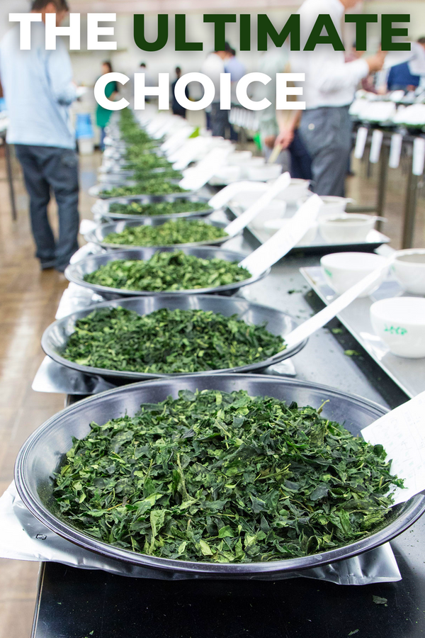 Discover Why Tenzo Matcha is the Ultimate Environmentally Sustainable