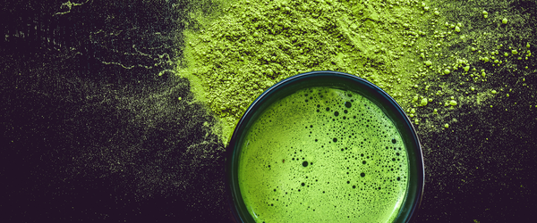Where to Find the Purest Matcha: How Matcha Color Displays Quality